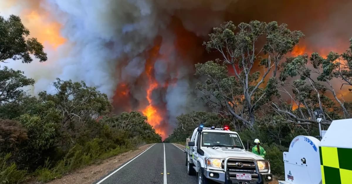 Australian bushfire burns area the size of Singapore | FMT