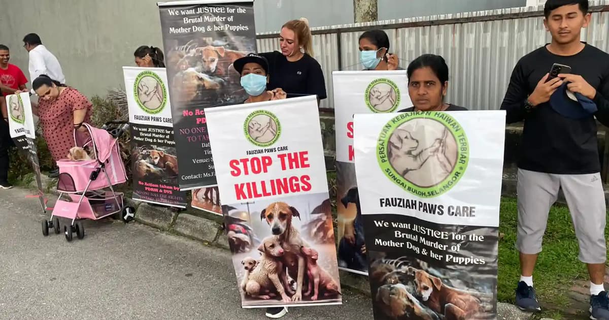 Group demands action over killing of dog, 6 puppies | FMT