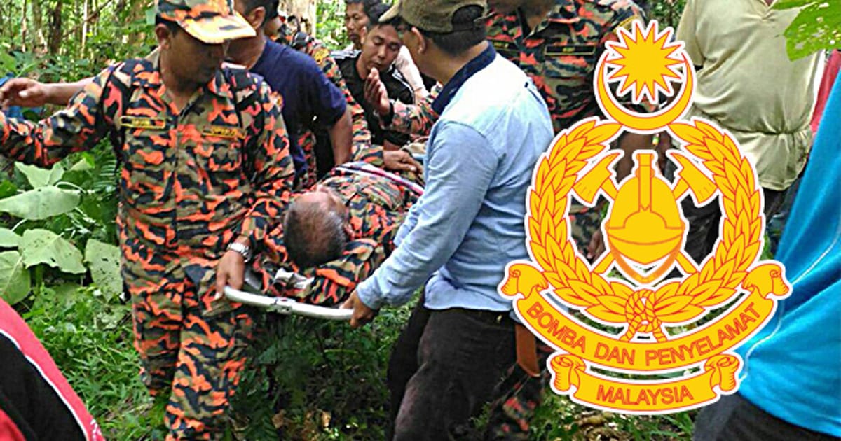 Lost 64-year-old weak but alive after 9 days in jungle | FMT