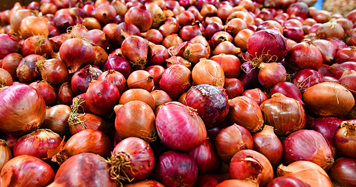 Mardi comes up with 3 local varieties of red onions | FMT