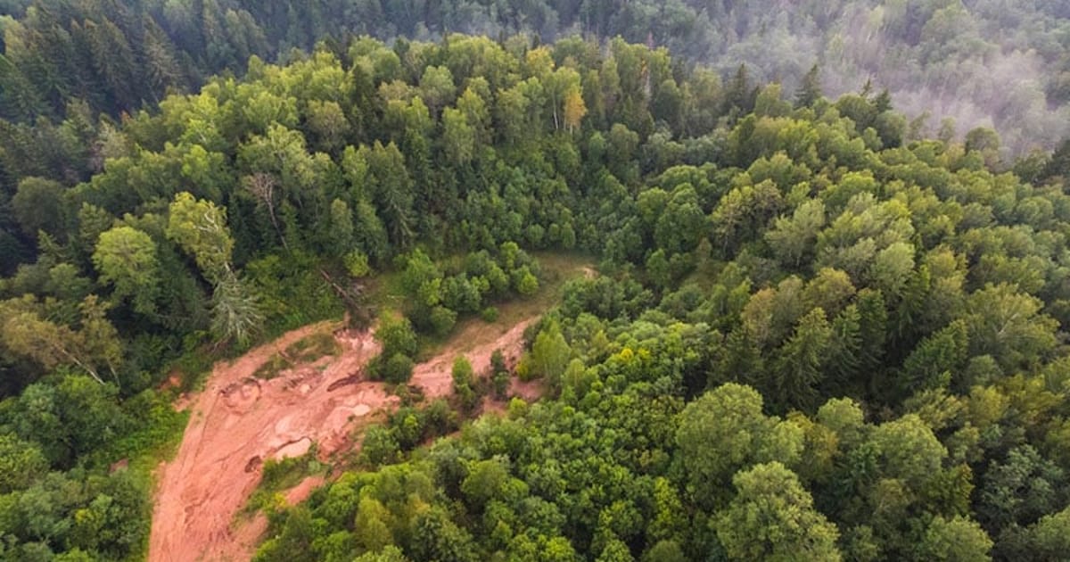 Amazon deforestation hits April record, nearly double previous peak | FMT