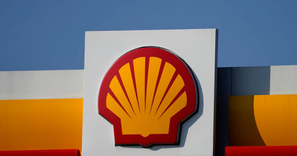 Institutional investors back lawsuit against Shell board over climate ...