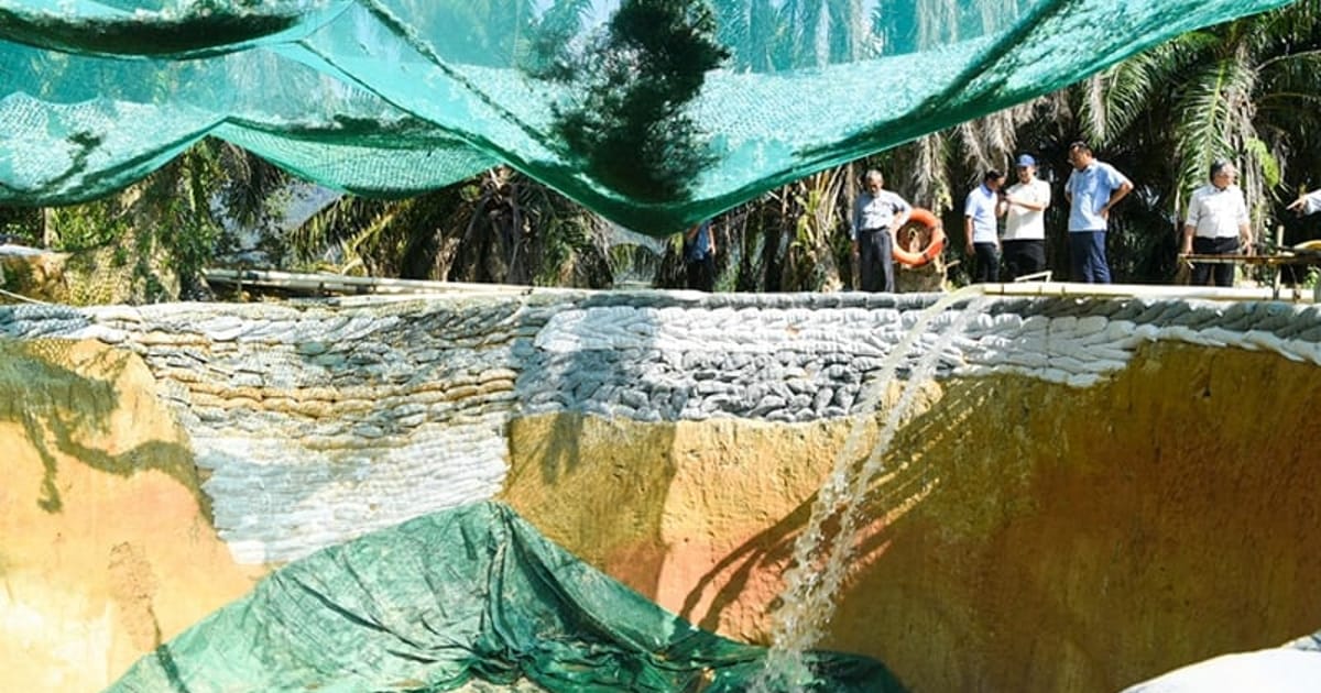 Govt to ban exporting rare earth raw materials | FMT