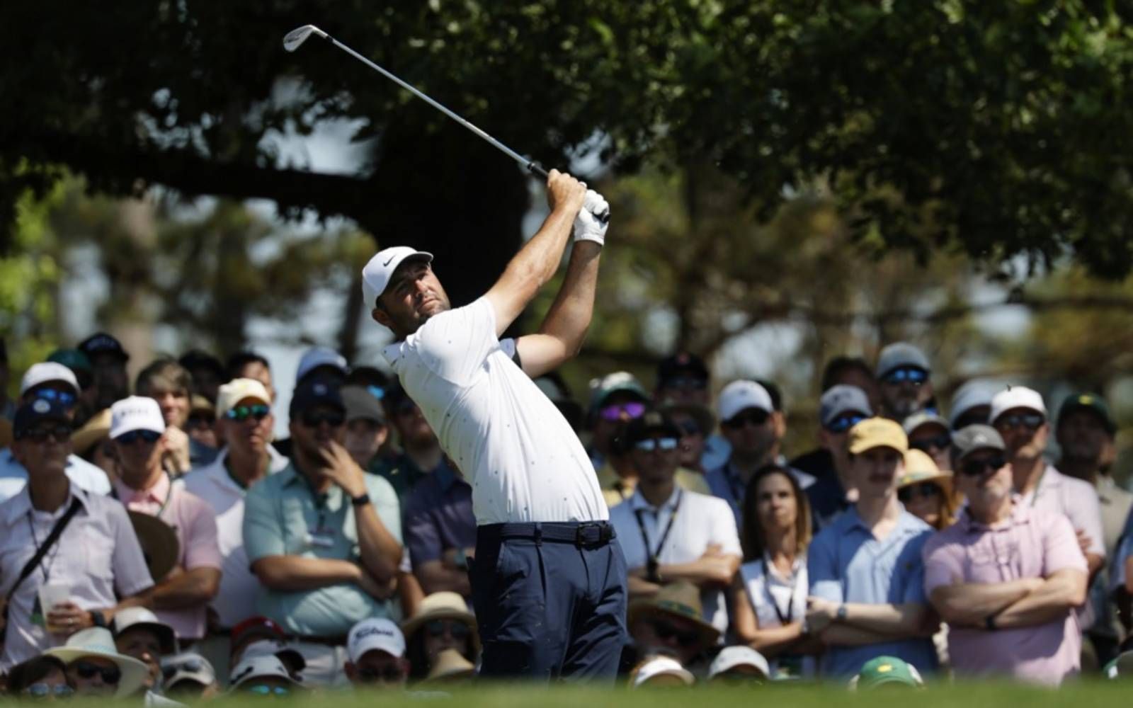 Scheffler grabs share of PGA lead as McIlroy endures misery | FMT