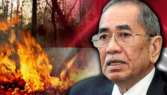 Wan Junaidi: Indonesia must amend forest fire laws | FMT